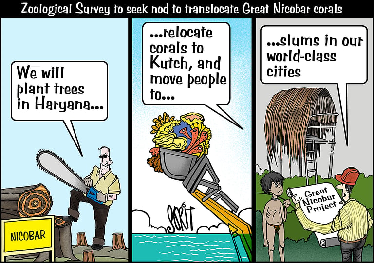 Simply Put: Great Nicobar solutions