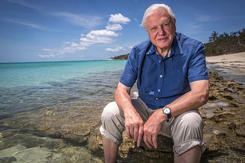 David Attenborough at 100: The Broadcaster Who Brought the Wild Into ...