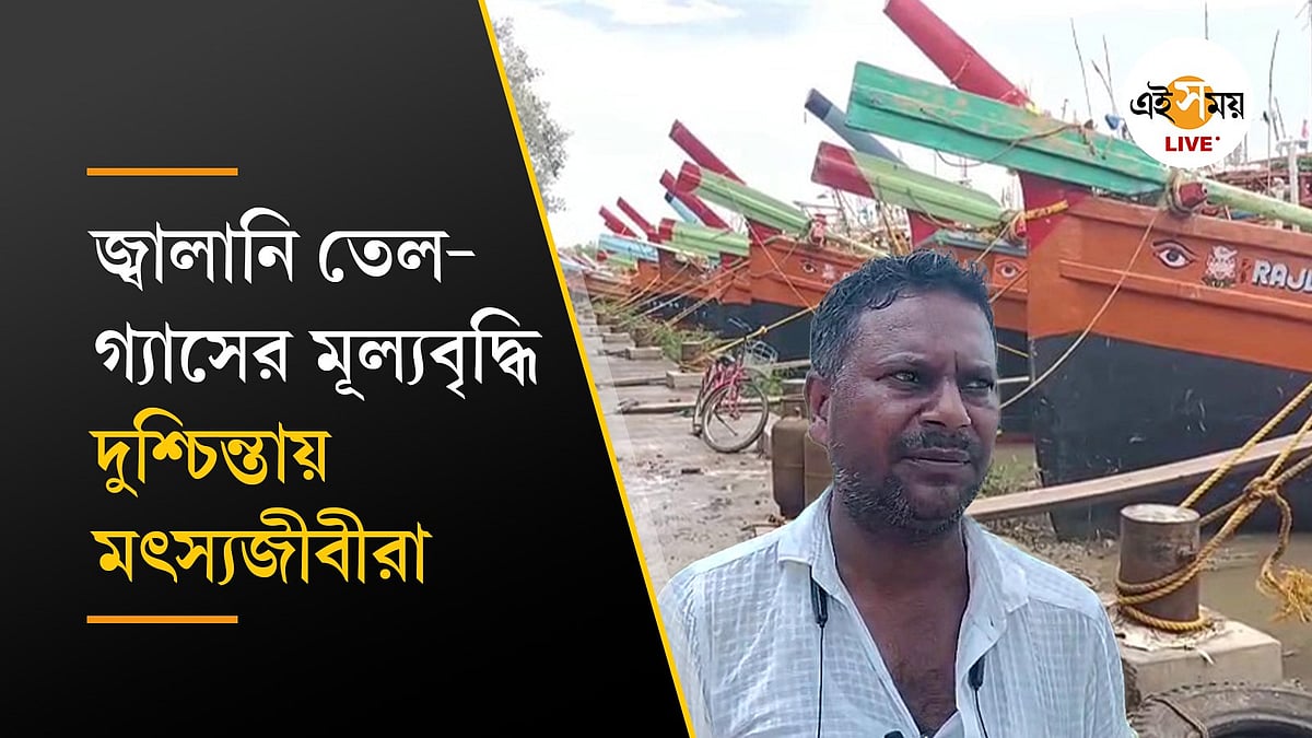 Hilsa Season | ইলিশ মরশুমের আগে কাকদ্বীপে শ্রমিক সঙ্কট, জ্বালানি তেলের ...