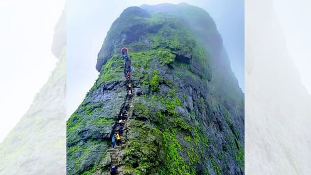 हरिहर गड १७ जुलैपर्यंत पर्यटकांसाठी बंद; वनविभागाचा निर्णय | Latest ...