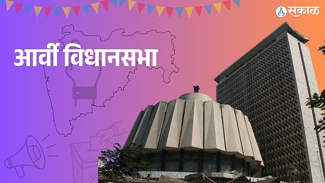 Arvi Assembly Election : आर्वी विधानसभेत चेहऱ्याबाबत मतदारांमध्ये ...