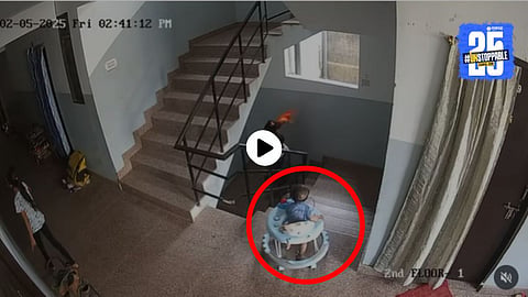 Shocking Viral Video: बाळ वॉकरवर... समोर पायऱ्या... अन् पुढचा क्षण ...
