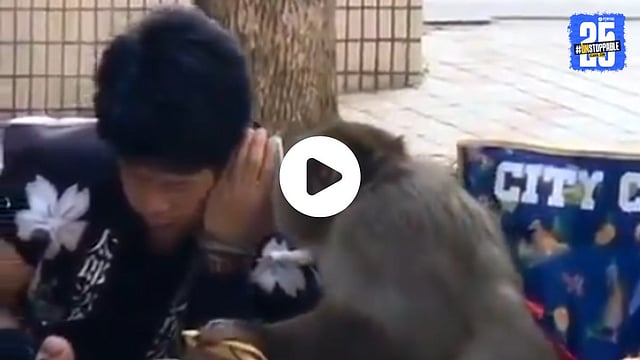 Viral Video: माणूस अन् माकडाची अनोखी मैत्री ! जिंकली लाखो लोकांची मने ...