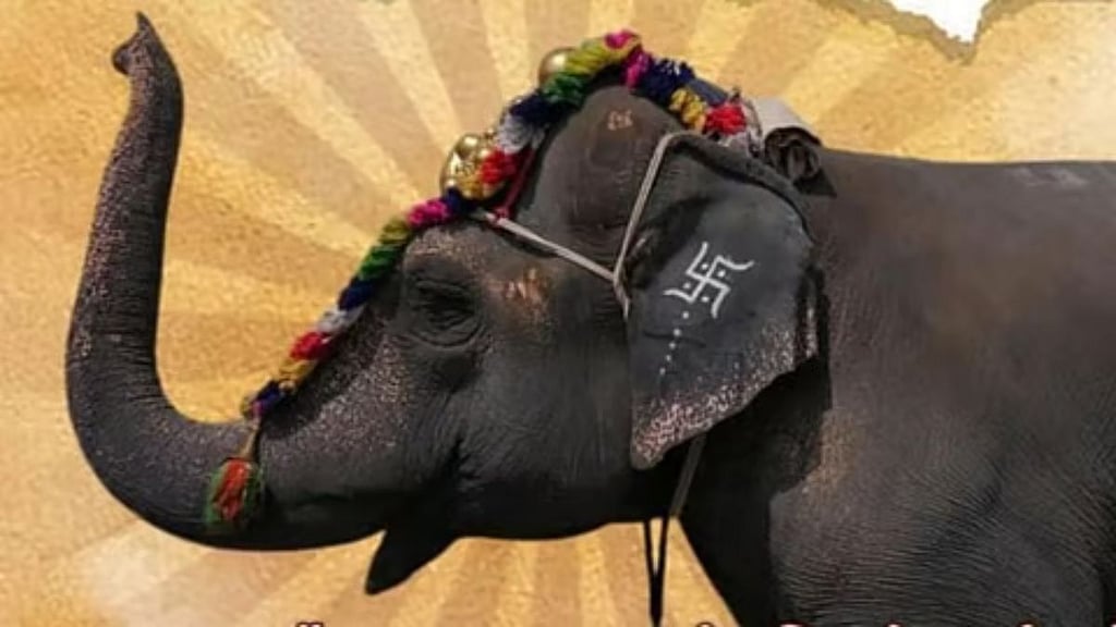 Mahadevi Elephant Latest Update: अंबानींना दखल घ्यावी लागली.. महादेवी ...