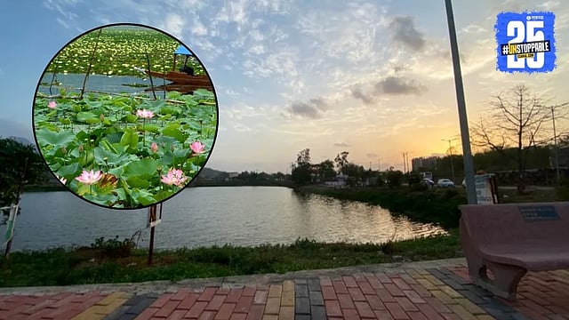 Badlapur Lotus lake Dangerous Condition | Safety Concern Due to Lack of ...