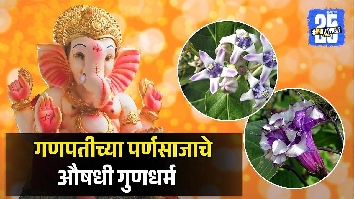 Ganesh Festival 2025 : गणपती पर्णसाज - धोतरा व रुईचे देवपूजेतील ...