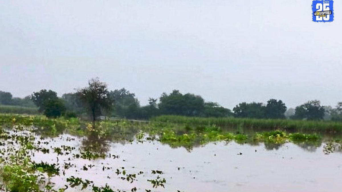 Ahilyanagar Rain Update: नेवासे तालुक्‍यात धो-धो पाऊस; शेतकऱ्यांचे ...