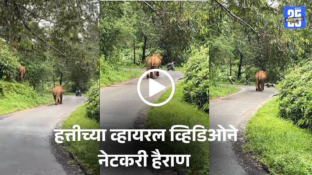 Elephant Chases Kids on Bike, Shocks Netizens मुलांना बाइकवर पाहून ...