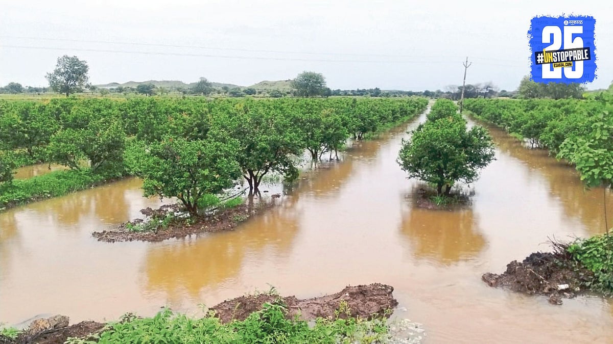 Rain Forecast : पुढील चार-पाच दिवस पाऊस कसा राहणार, कोकण किनारपट्टीवर ...