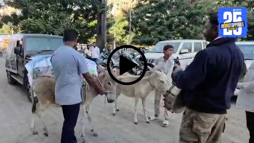 Pune Thar Donkey Viral Video : पुणेकरांचा नादच खुळा!, चक्क लाखोंची ...