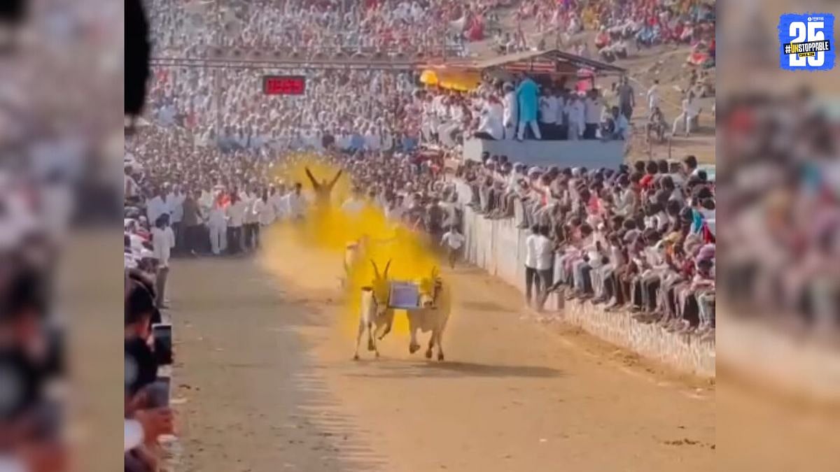 Ghodegaon Bullock Cart Race, Datt Jayanti Festival, Rural Celebration ...