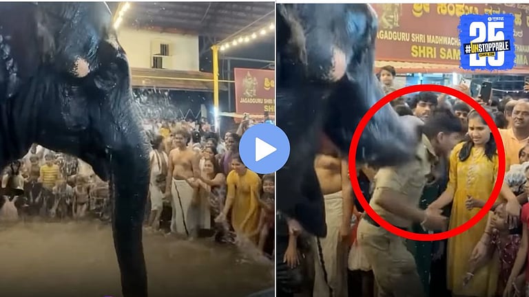 Viral Video: भक्त हत्तीणीवर अभिषेकासाठी पाण्याचा वर्षाव करत होते, एका ...