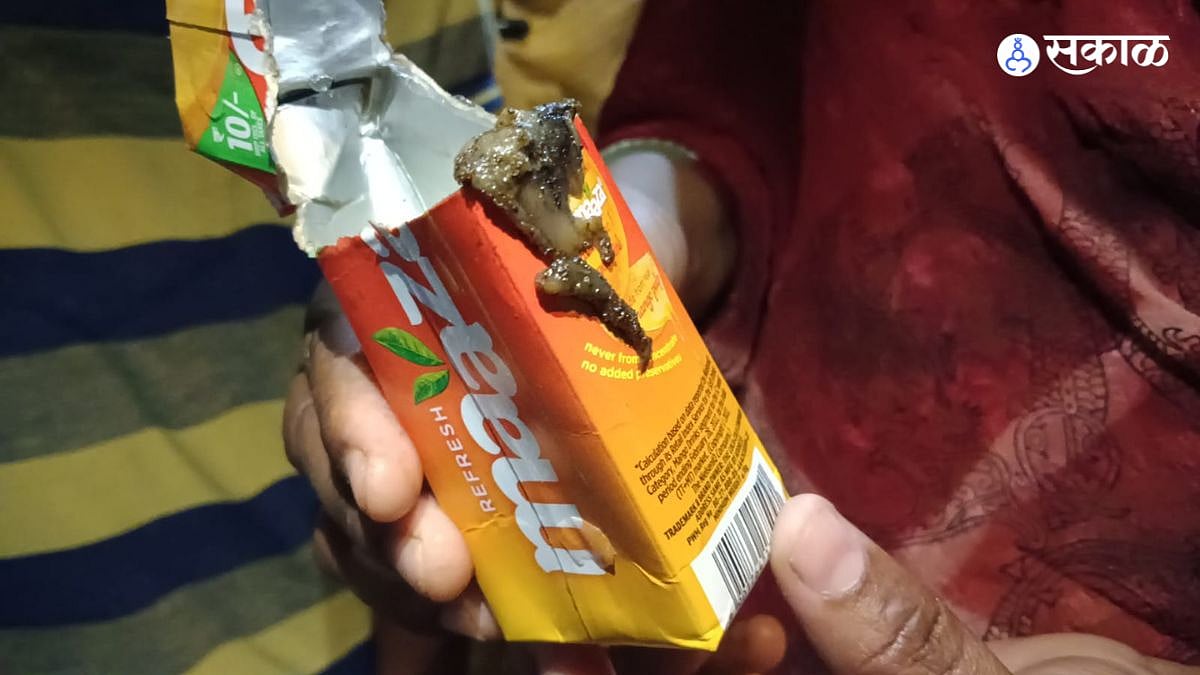 Fruit Drink Maaza: 'माझा'च्या छोटा पॅकमध्ये आढळली घाण; ११ वर्षीय मुलाची ...