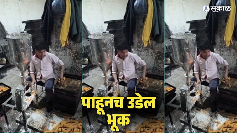 Viral Video: क्रीम रोल खाण्यापूर्वी हा व्हिडिओ नक्की पाहा! पाहूनच उडेल ...