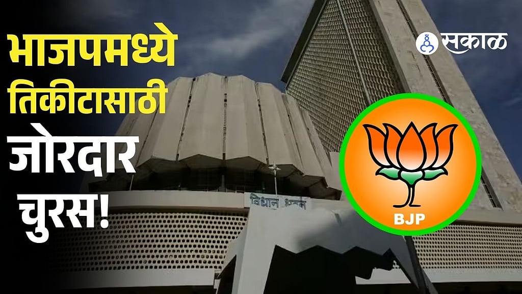 Vidhan Parishad Election 2026: विधान परिषदेसाठी भाजपमध्ये ही नावे ...
