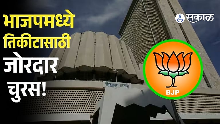 Vidhan Parishad Election 2026: विधान परिषदेसाठी भाजपमध्ये ही नावे ...