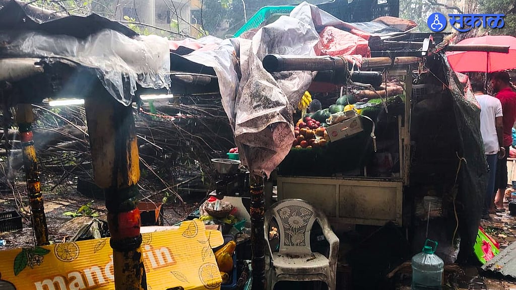 Pune rain update tree falls near Pul Deshpande Garden woman loses life ...