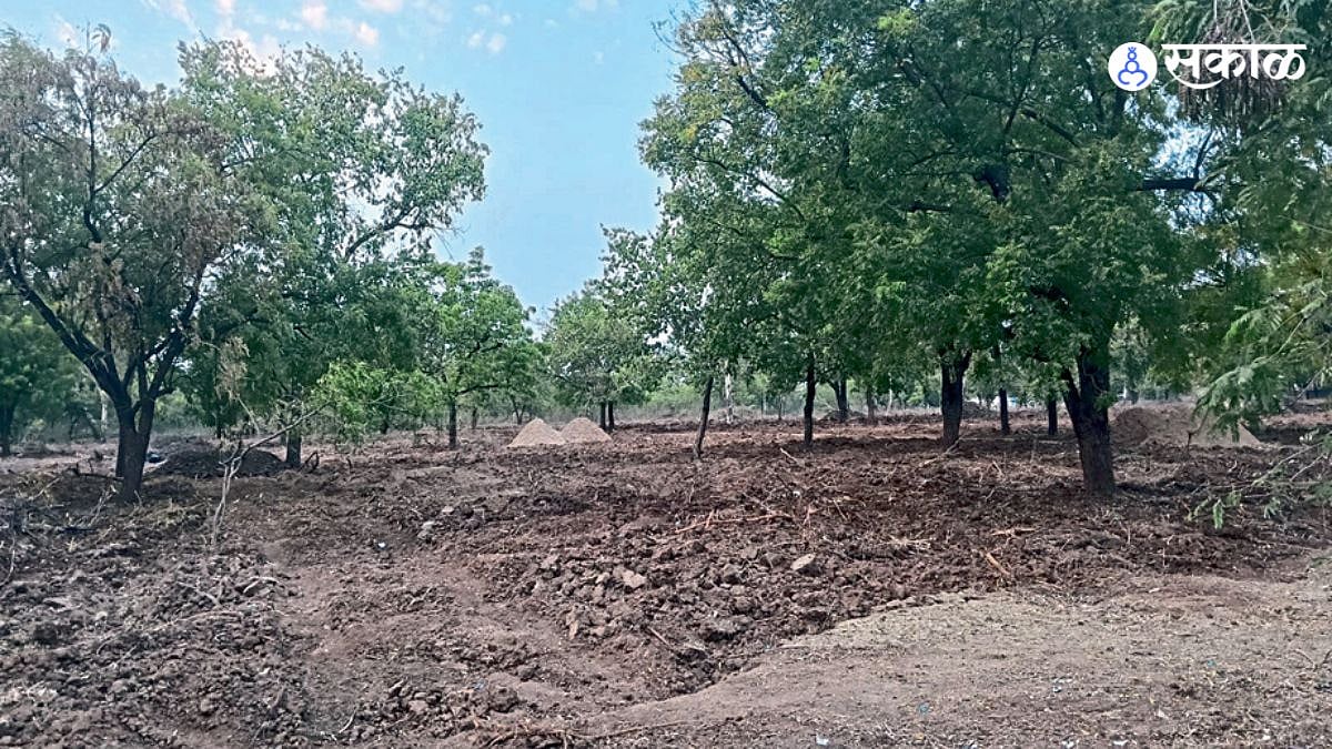 Chhatrapati Sambhajinagar: पैठणमध्ये औद्योगिक पट्टा होणार हिरवागार;एक ...