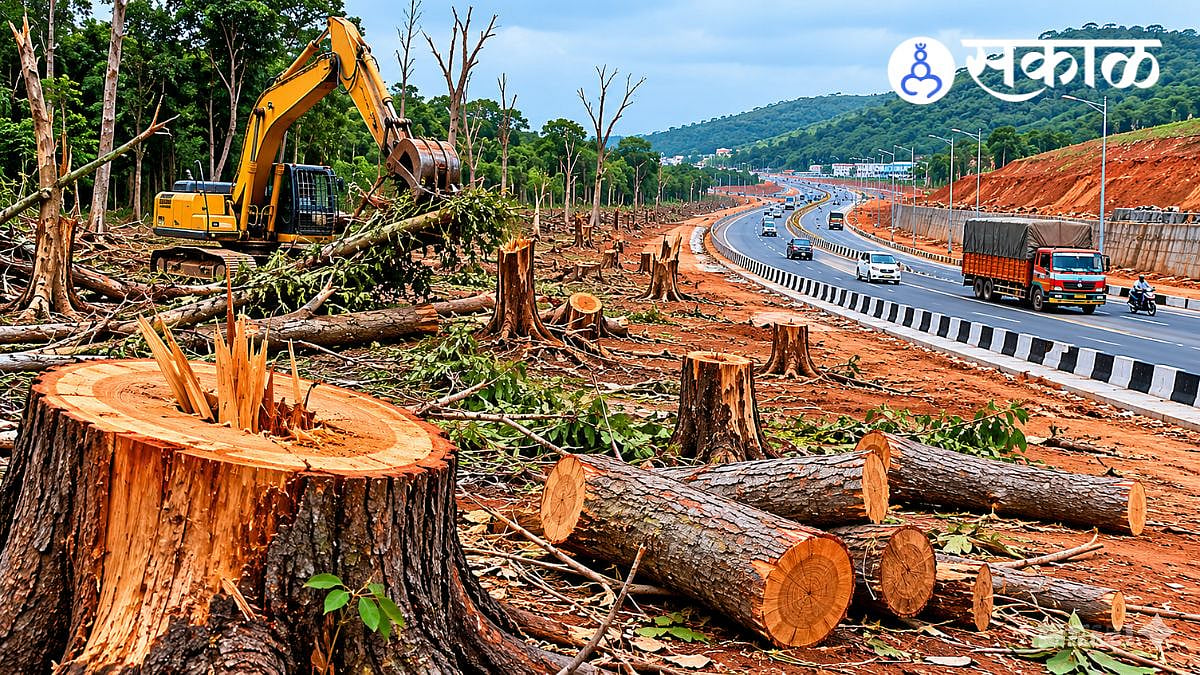 Ratnagiri Authorities Reveal Plantation Data After Massive Tree Cutting ...