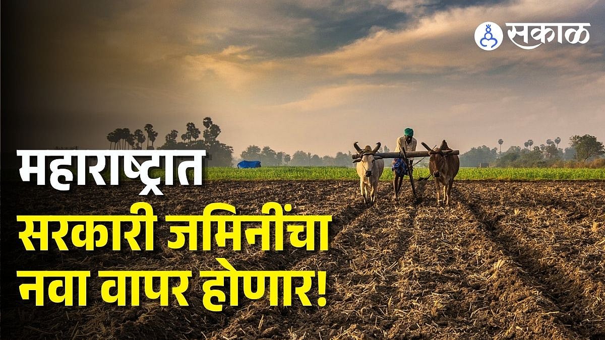 Grass cultivation will be permitted on fallow lands belonging to ...