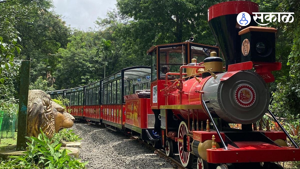 SGNP Toy Train generated revenue of rs 29 lakh in 5 Months | संजय गांधी ...