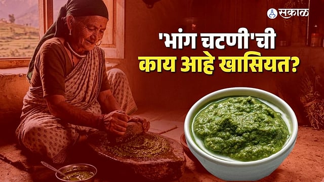 Uttarakhand Food देवभूमीतील प्रसिद्ध भांग चटणी नशामुक्त पण चवदार पहाडी ...
