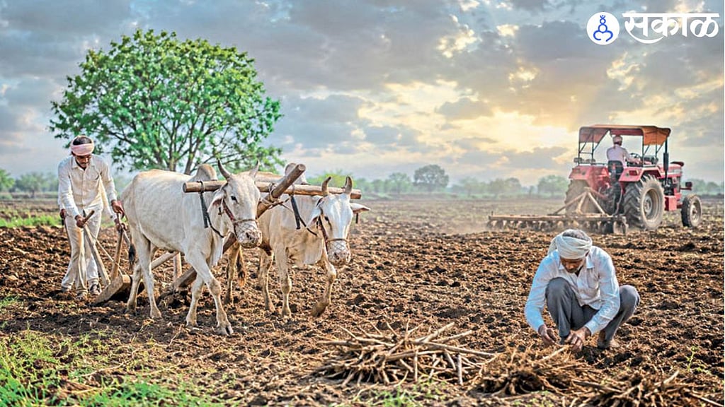 Beed: मृगाची चाहूल; बीडच्या शिवारात शेतीकामांची लगबग; संकटांच्या ...