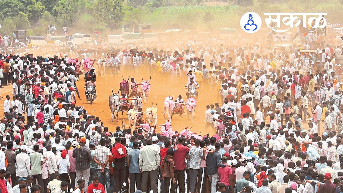Ajinkya Kopardekar Wins Prestigious Tractor Prize at Nerli Bullock Cart ...