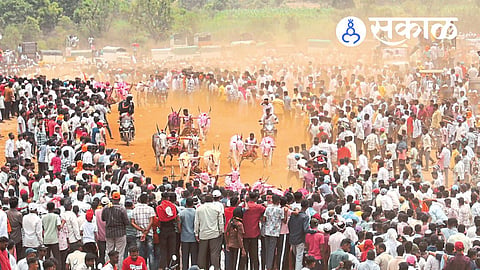 Ajinkya Kopardekar Wins Prestigious Tractor Prize at Nerli Bullock Cart ...
