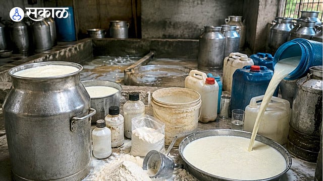 Beed: गाय-म्हैस नाही, तरीही दुधाचा महापूर कसा? ; आष्टी तालुक्यात ...