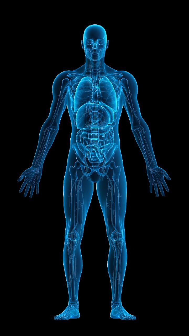 महागडी औषधे नकोत! शरीराला फिट ठेवतात हे डॉक्टर!|Best natural doctors ...