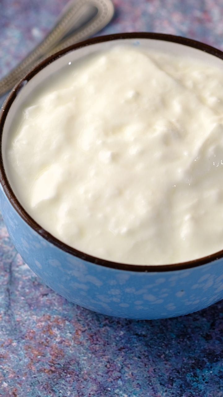 आयुर्वेदानुसार 'या' लोकांनी दही खाणे ठरू शकते विष!|Should Not Eat Curd ...