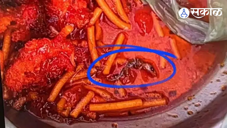 Baby Lizard Found In Manchurian At Ulhasnagar | मंचुरियनमध्ये आढळले ...