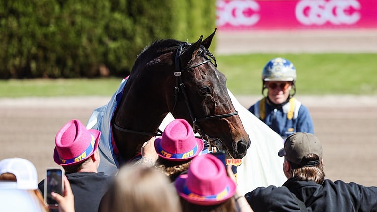 Scarlet Knightin ja Stefan Melanderin tahdissa avattiin Elitloppet ...