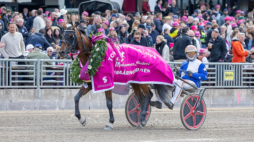 UET Elite Circuitissa uusi johtohevonen
