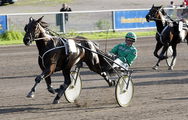 Desdemona Boko auttaa T65-ongelmassa