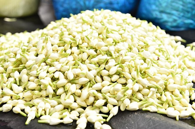 மதுரை மல்லிகைப் பூ விலையில் உச்சம்: கிலோ ரூ.4,200-க்கு விற்பனை