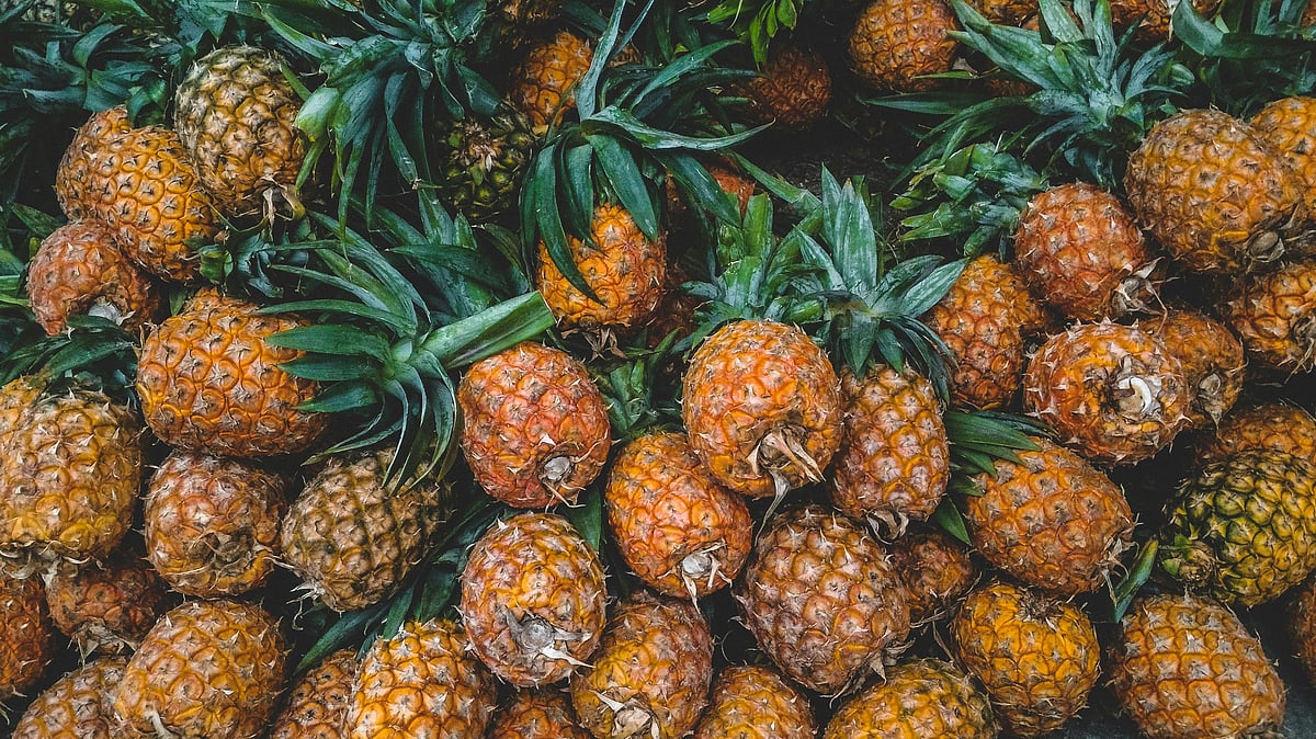 What makes Meghalayan Kew pineapples so desirable?