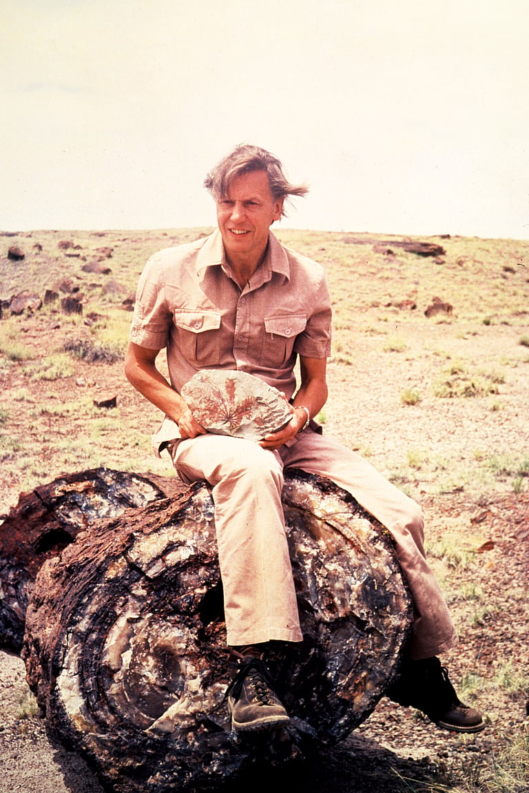 BBC Earth: Making Life On Earth: Attenborough’s Greatest Adventure