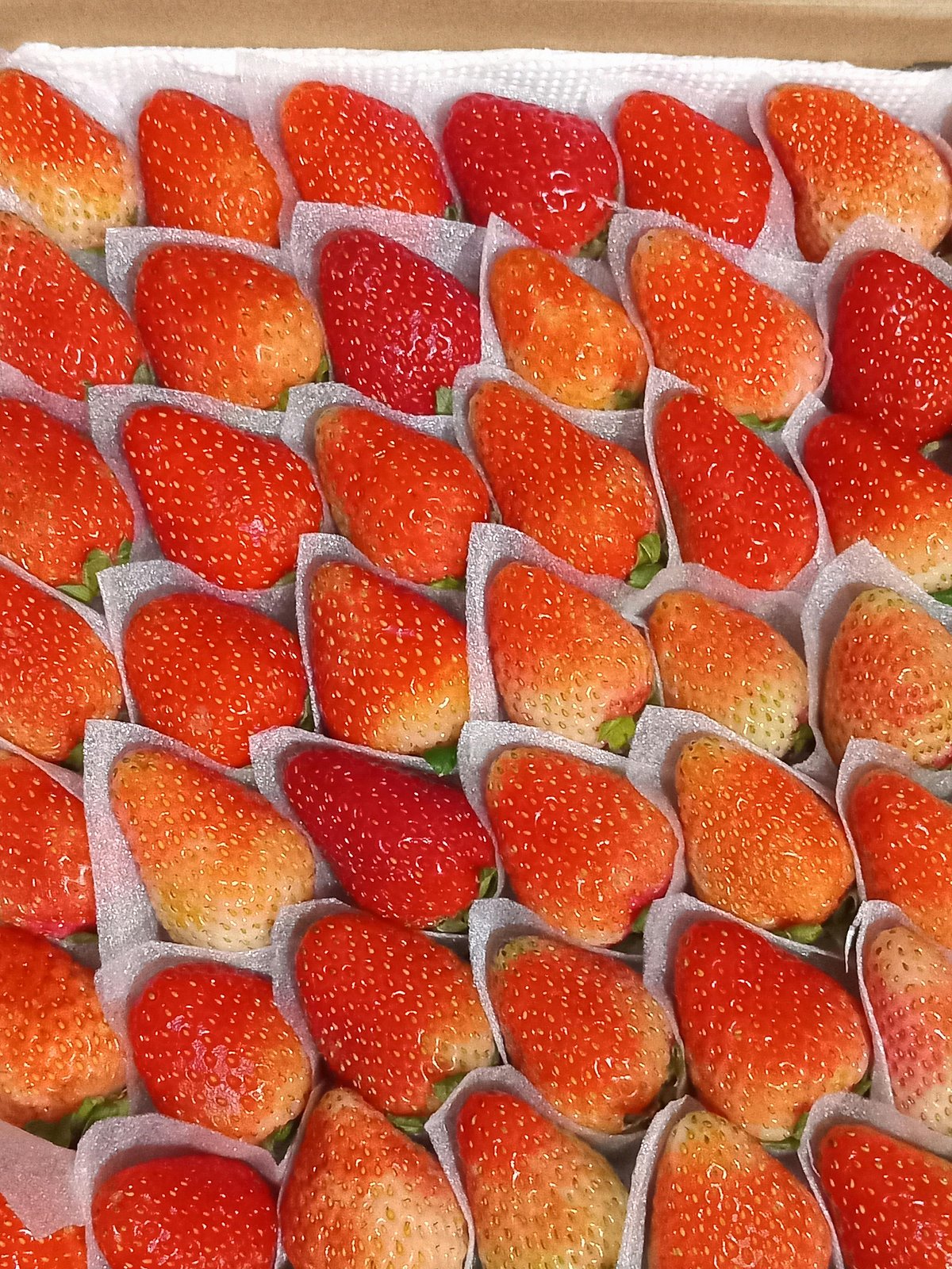 Why Japanese Strawberries Are Luxury Gifts & So Expensive