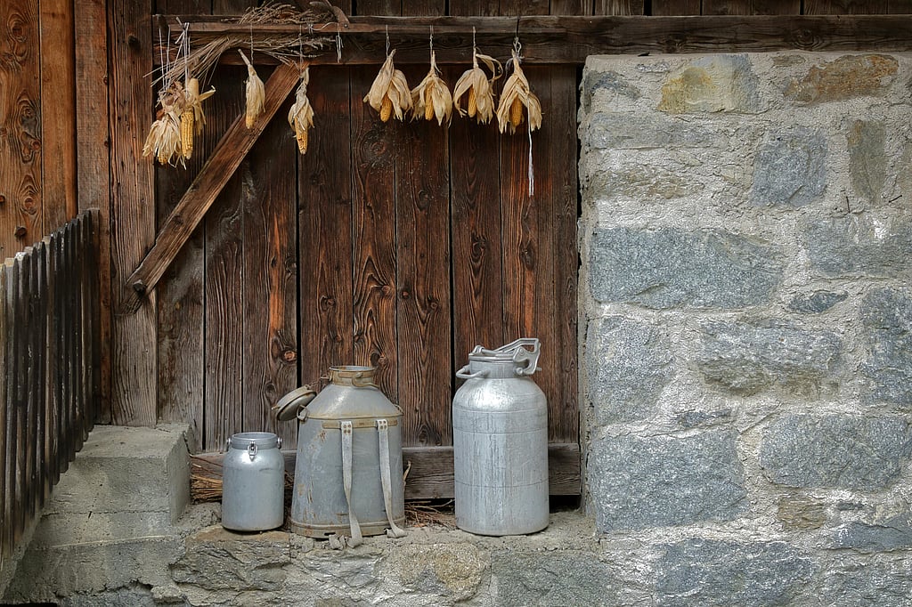 Why did medieval Europeans think milk could cure poison?