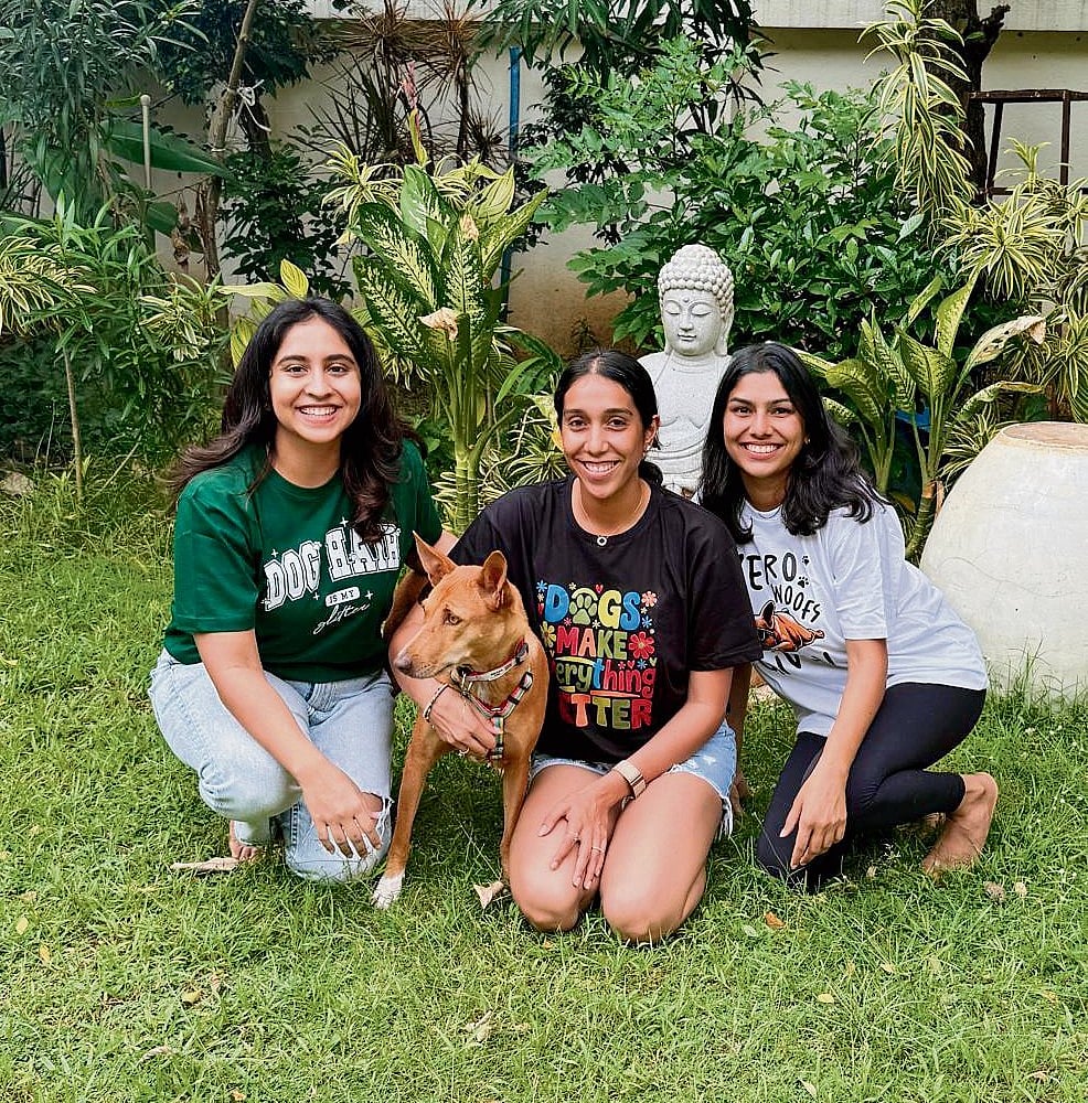 Inside Diyya Vummidi’s Mission to Tackle Chennai’s Street Dog Crisis