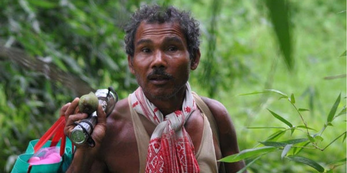 Jadav Payeng: The Forest Man Who Grew a Jungle from Nothing