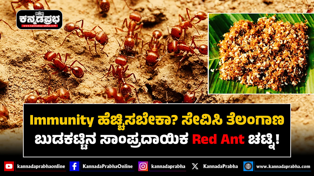 watch| Immunity ಹೆಚ್ಚಿಸಬೇಕಾ?: ಸೇವಿಸಿ ತೆಲಂಗಾಣ ಬುಡಕಟ್ಟಿನ ಸಾಂಪ್ರದಾಯಿಕ Red ...