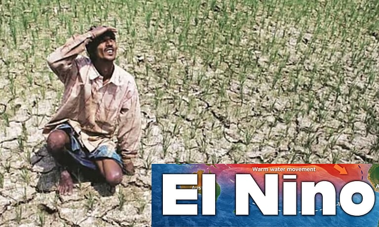 El Nino வறட்சி எச்சரிக்கை: நெல்லுக்கு பதில் ராகி சிறுதானிய சாகுபடி ...