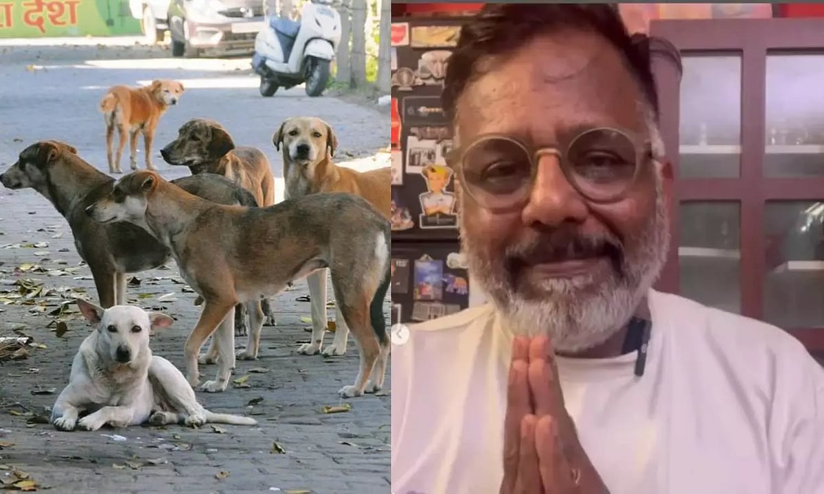 VIDEO: தெருநாய் தொடர்பான விவாதம் - மன்னிப்பு கேட்டார் நடிகர் படவா கோபி