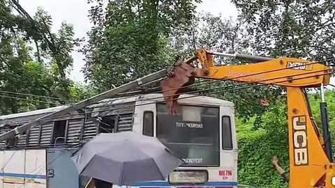 ബസിനു മുകളിലേക്ക് വൈദ്യുതി പോസ്റ്റ് ഒടിഞ്ഞുവീണു. KSRTC bus rams ...