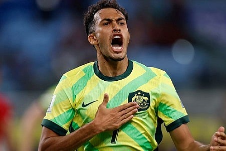 FIFA World Cup: Quartet of Indian origin players set to take a bow