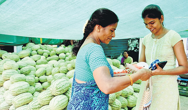 Andhra Pradesh: From ice apples to mangoes, seasonal fruits flood markets