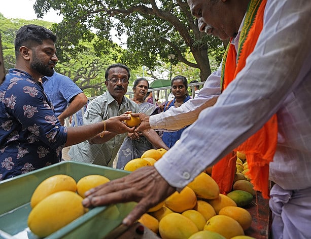 Bengaluru to host two mango, jackfruit melas this year